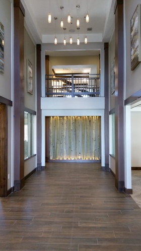 Decorative Aspen Poles