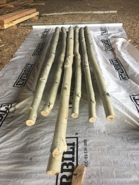 Decorative Aspen Poles