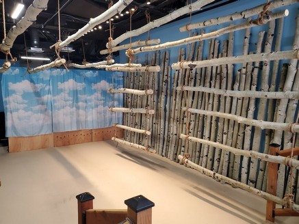 Decorative Aspen Poles