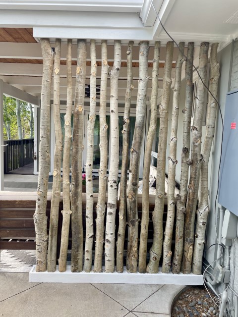 Decorative Aspen Poles