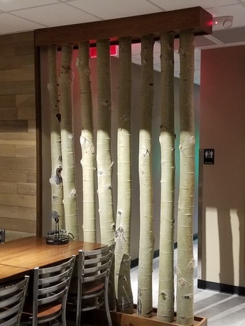 Decorative Aspen Poles