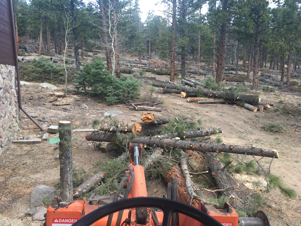 Fire Mitigation Services