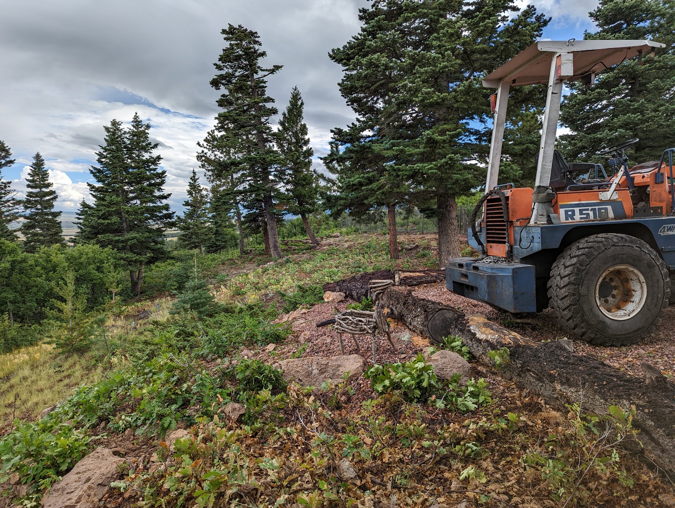 Forestry