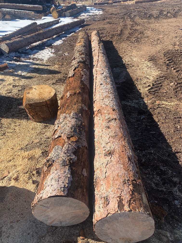 Poles & Logs